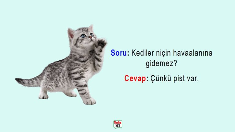 En Soğuk Espriler ve Cevapları