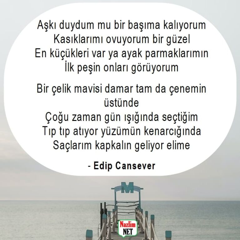 Edip Cansever şiirleri - En güzel ve kısa 15 şiiri
