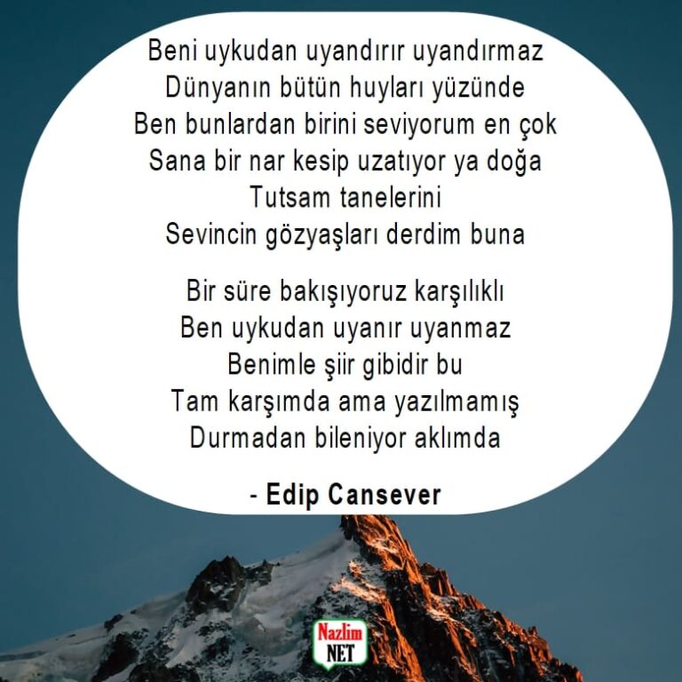 Edip Cansever şiirleri - En güzel ve kısa 15 şiiri