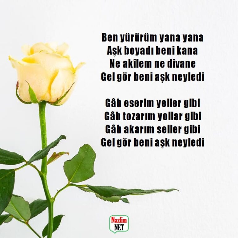 Yunus Emre şiirleri - En güzel ve kısa 16 şiiri Yunus Emre şiirleri - En güzel ve kısa 16 şiiri